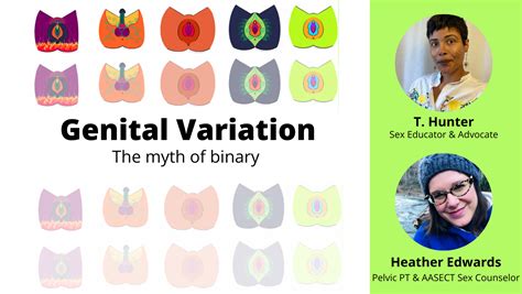 Genital Variation