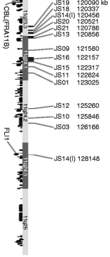 Chromosomal Microarray Mapping Suggests A Role For Bsx And Neurogranin In Neurocognitive And