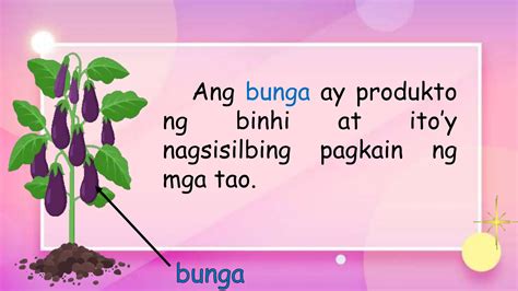 Mga Ibat Ibang Bahagi Ng Halaman 2 Pptx