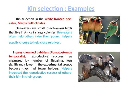 Altruism And Evolution Group Selection Kin Selectionpptx