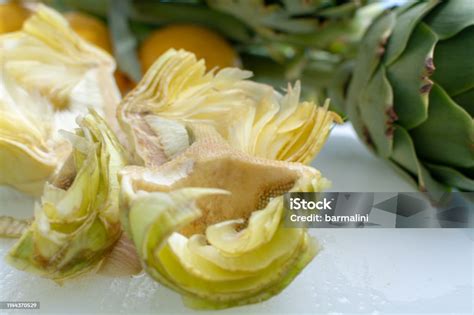 르고 리 다 아 티 초 크 농장에서 신선한 원시 양 인데 식물의 머리의 준비 그리스 레몬 요리 준비 0명에 대한 스톡 사진 및 기타 이미지 Istock