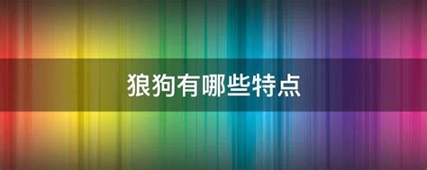 狼狗有哪些特点 业百科