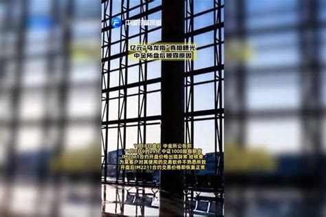 中国财富报道亿元乌龙指真相曝光 中金所盘后披露原因