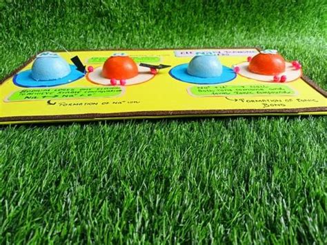 Electron Transfer Process Model At ₹ 500 In New Delhi Id 2854361369888