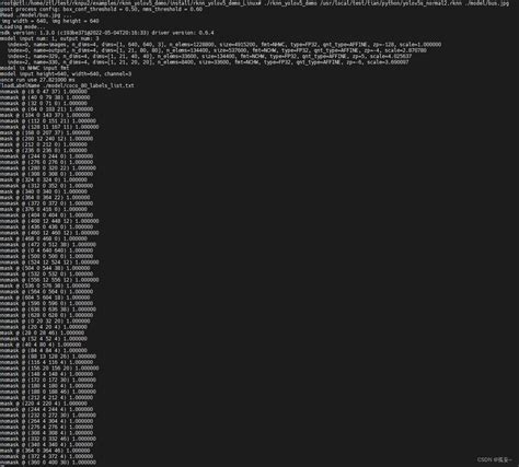 rknn模型转换问题记录 rknn模型输出目标很多 csdn博客