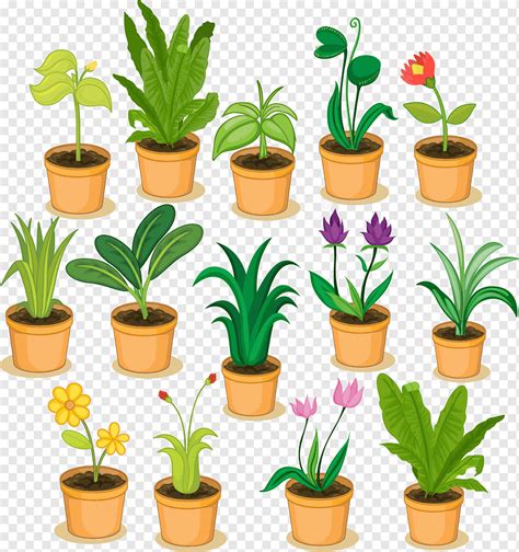 화분에 심은 식물과 꽃 그림 Png Pngwing