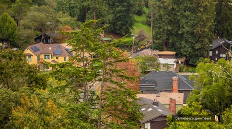 City Programs Resources Can Help You Create A Buffer Zone Around Your Home To Protect Against