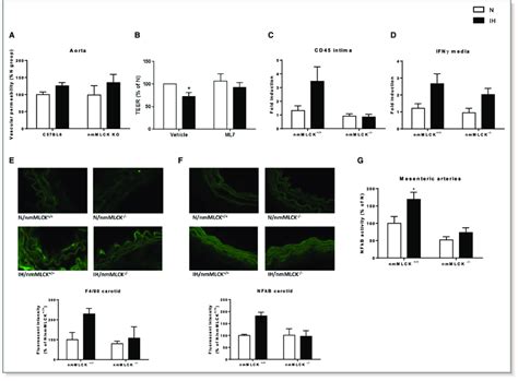 Endothelial Barrier Dysfunction And Vascular Inflammation A