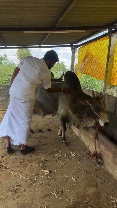 Police Sathish Youtube