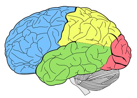 Associative Memory Let Me Teach A Way To Never Forget By Sami Kazi