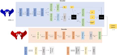 Dvae For Sex Determination There Are Four Main Steps 1 The