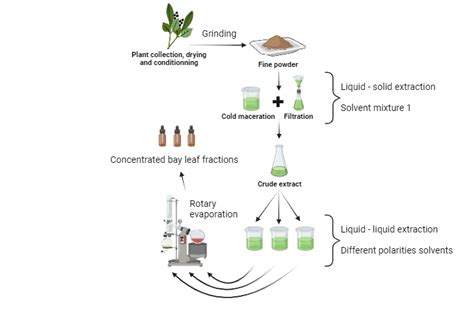 Plant Fractionation Extraction Biorender Science Templates
