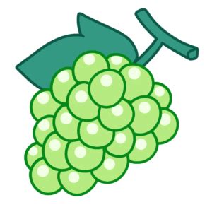 マスカット イラストせんせい 使いやすいフリー素材集