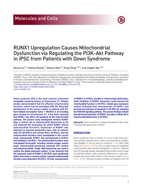Pdf Runx1 Upregulation Causes Mitochondrial Dysfunction Via