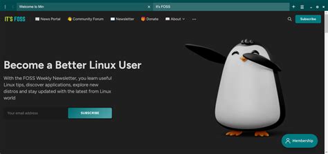 7 Lesser Known But Unique Web Browsers For You To Explore