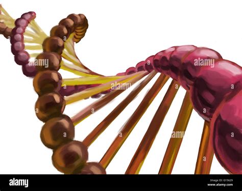 Illustration Of A DNA Double Helix Stock Photo Alamy