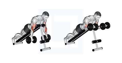 dumbbell cross body hammer curl guide benefits and form