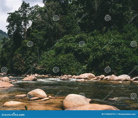 River At Sungai Kampar Gopeng Perak Stock Image Image Of
