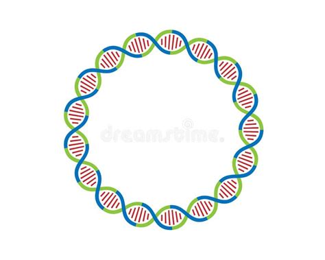 Colorful Circular Dna Strands Loop 17 Parts Stock Vector Illustration
