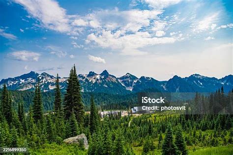 숲이 있는 소나무와 산의 풍경 풍경 침엽수 림 녹색 계곡 풍경 초원의 자연 풍경 계곡 산의 풍경 산 계곡 고요한 시골 풍경 0명에 대한 스톡 사진 및 기타 이미지 Istock