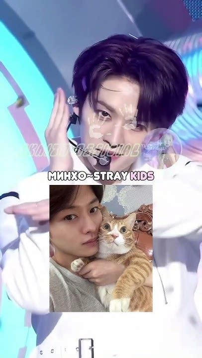 Айдолы с котиками 🍥 Youtube