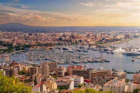 Die Top 5 Sehenswürdigkeiten In Palma De Mallorca Tourlane