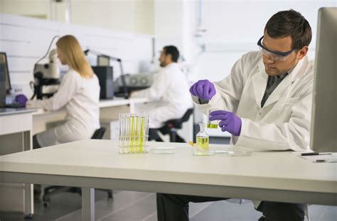 Toxicologist Education Background Art Education