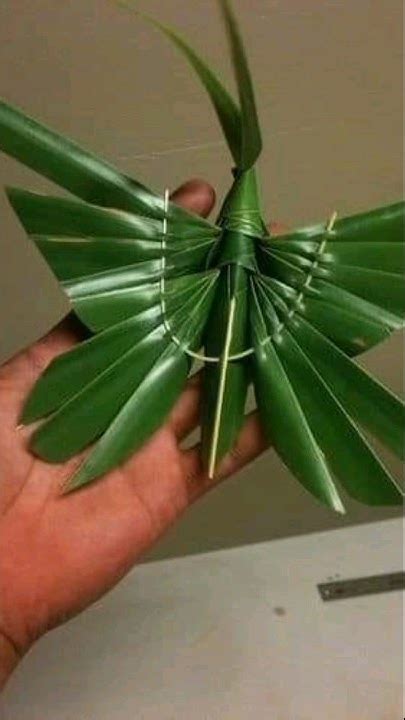 පොල් කොල වලින් කරපු අපුරු නිර්මාණ Youtube