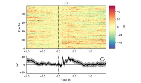 Event Related Potentials Data Crayon