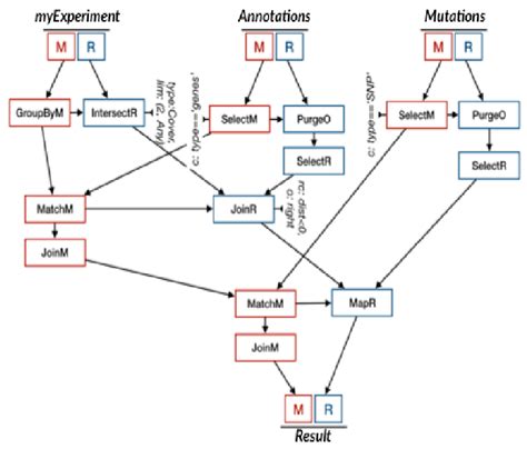 Intermediate Representation Of The Exemplary Gmql Query Metadata Nodes Download Scientific