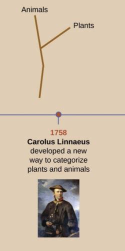 Microbiology Taxonomy Flashcards Quizlet