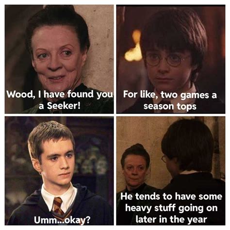 30 Harry Potter Memes Thatll Make You Want To Rewatch Everything