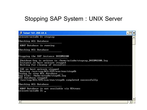 Ppt Starting Sap Windows Server Powerpoint Presentation Free Download Id 500468