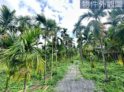 鹽埔仕絨10米路上356分雙面路優質農地 屏東縣鹽埔鄉仕絨段房屋 Yc0063058 台慶不動產