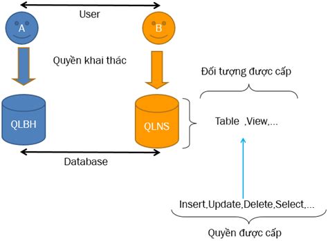 Cách Tạo User Trong SQL Quản Trị Database Phân Quyền