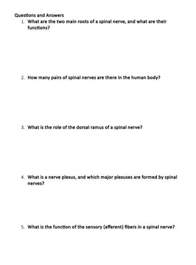 Spinal Nerves Science Reading Worksheets 100 Editable By The Stem Center