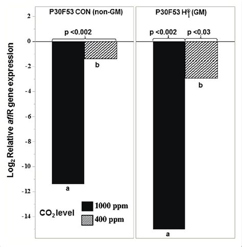 Effect Of The Non Toxigenic A Flavus Strain Afl4 − When Applied As A Download Scientific