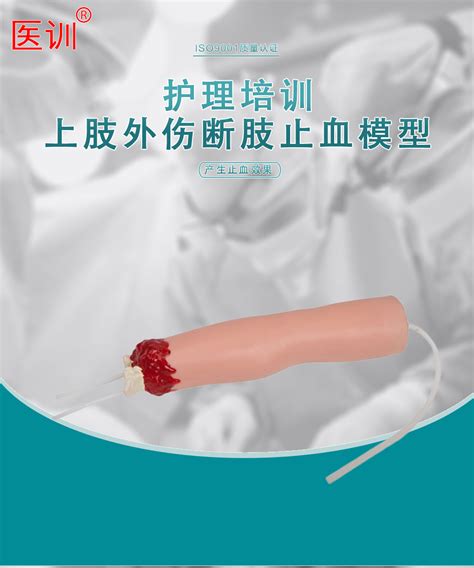 Hemostasis Model Yxh2008 Medical Training