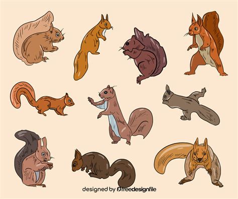 Squirrels Vector Free Download