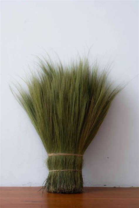 Green Tiger Grass For Cleaning At ₹ 100kg In Guwahati Id 2856298754273