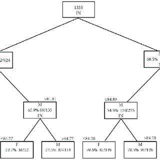 Decision Tree For Gender Assessment Brazil 2017 Download Scientific Diagram