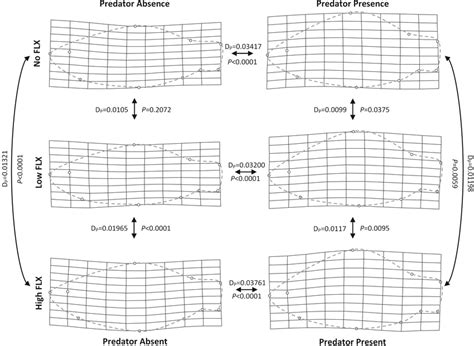 Thin‐plate Spline Transformation Grids Illustrating The Landmark Download Scientific Diagram