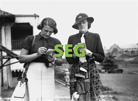 Seg Meaning