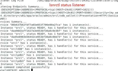 【oracle19c】数据库监听器 oracle19c监听配置 csdn博客