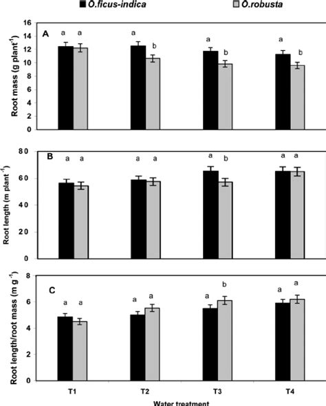 Mean SE Root Mass G Plant 1 A Root Length M Plant 1 Download Scientific