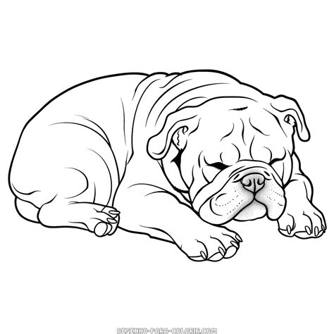 Desenhos De Cachorro Para Colorir Desenho Para Colorir