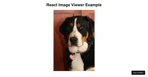 React Images Viewer Example Codesandbox