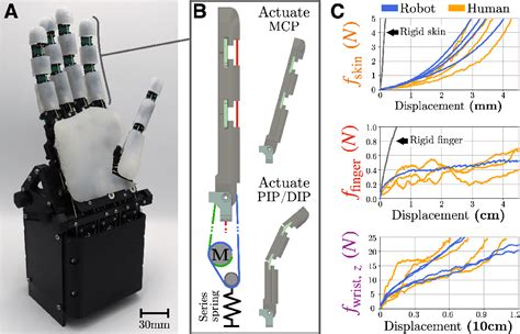 Figure 1 From Robust Anthropomorphic Robotic Manipulation Through Biomimetic Distributed