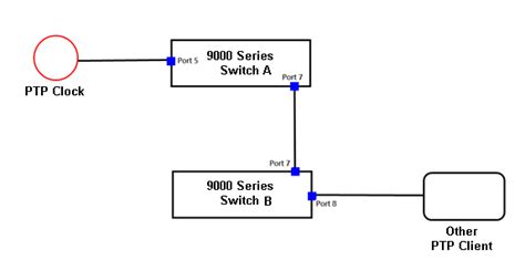 How To Set Up IEEE PTP