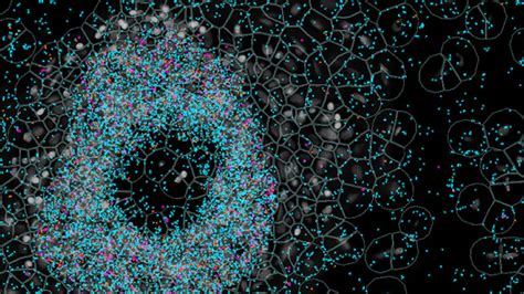 Visium Platform Page 10x Genomics